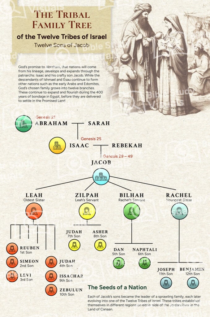 12 Tribes of Israel Family Tree - Bible Study Visuals